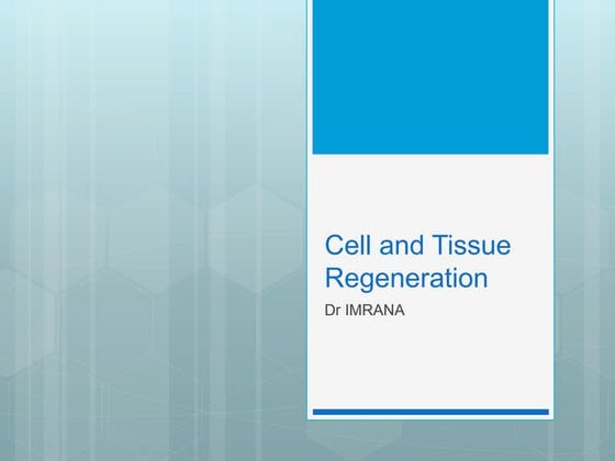 Massons Trichrome Stain Ppt