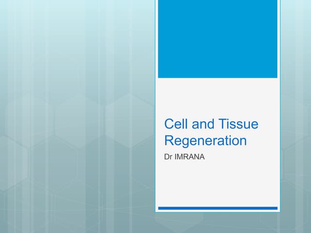 Tissue repair, regeneration and wound healing (1) | PPT