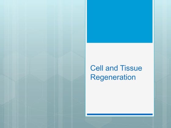 Tissue repair, regeneration and wound healing (1) | PPT | Biological ...