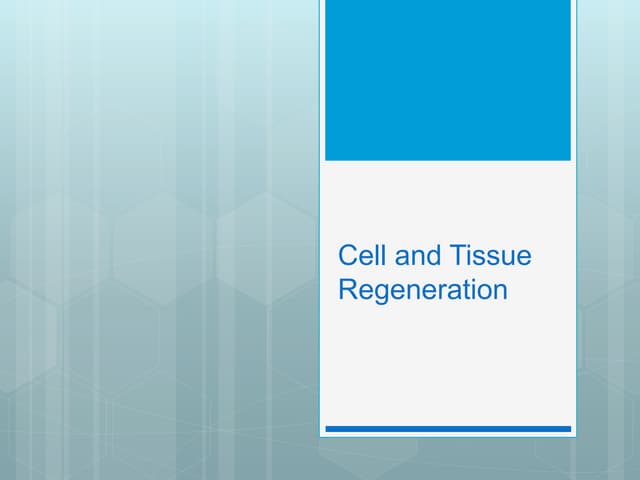 Tissue repair, regeneration and wound healing (1) | PPT