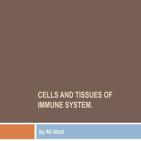Cell and Tissues of Immune System by Ali Afzal.pptx | Free Download