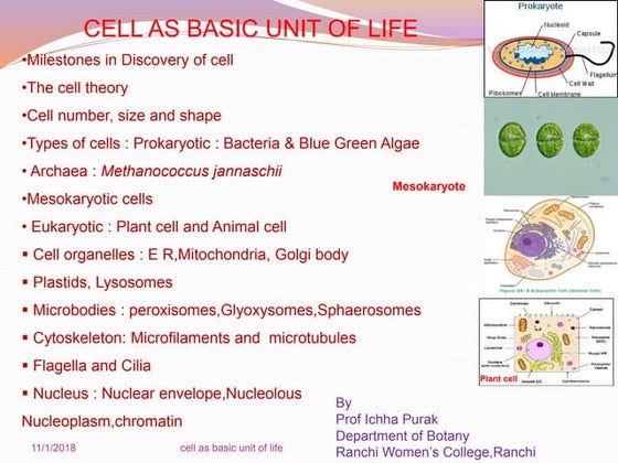 Cell and cell theory | PPTX