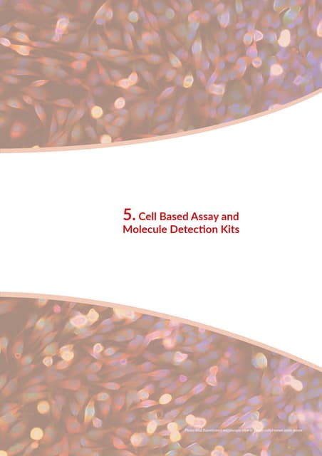 Cell viability assays | PPT