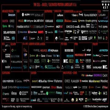 CellBased / Cultivated Protein V.1.6.pdf