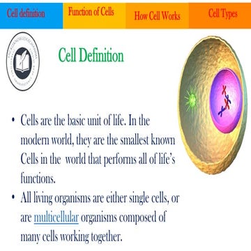 Cell basics | PPT