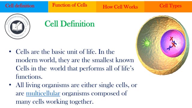 Gcse biology 9 - 1 | PPTX