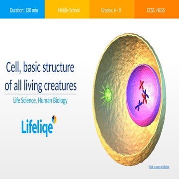 Cell, basic structure of all living creatures.pptx