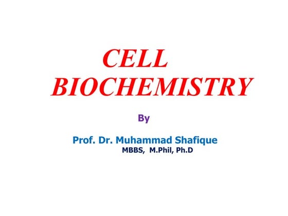 Biochemistry (Cell and its Biochemical Organization) | PDF