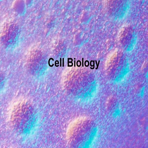 Cell biology | PPT