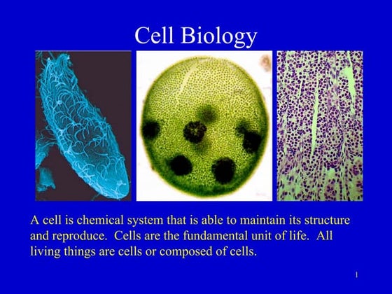 General biology of human module 1011 power point | PPT