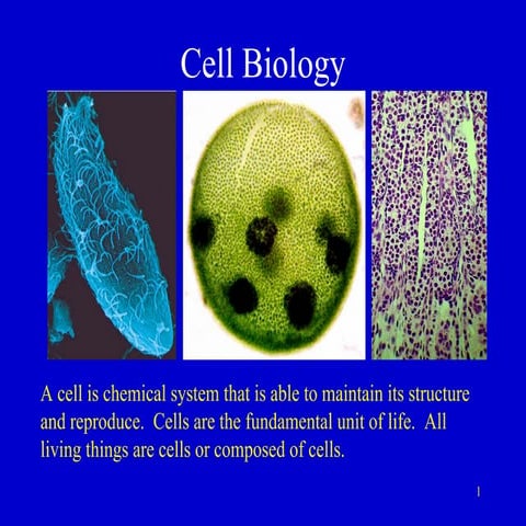 Cell biology | PPT