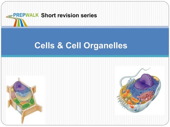 Cell Analogy Example | PPTX