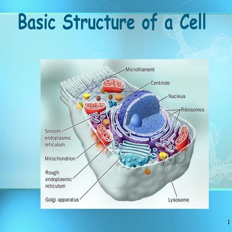 BASIC STRUCTURE OF TYPICAL ANIMAL CELL & TYPES | PPT