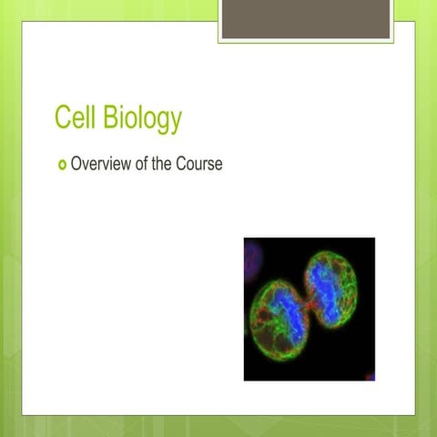 Cell biology overview | PPTX | Biological Sciences | Science