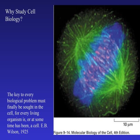 Cell biology PPT- First Year biotechnology | PPT