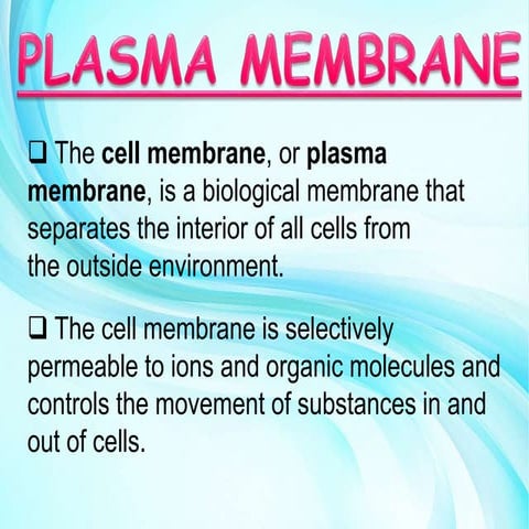 Plasma Membrane | PPTX
