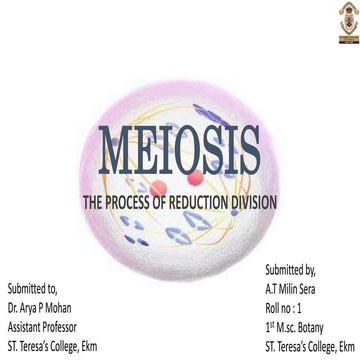 Meiosis : introduction and phases of meiosis. | PPT
