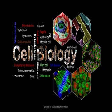 Cell biology | PPTX