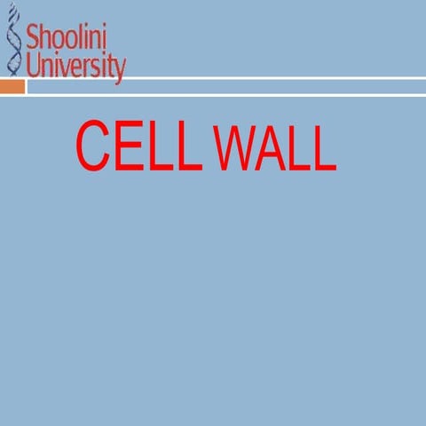 Cell wall | structure composition and Functions | PPTX