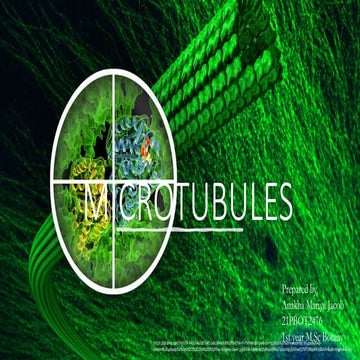 microtubules.pptx