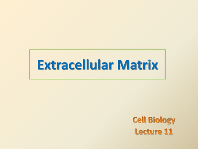Cell junctions , cell adhesion and extra cellular matrix | PPTX