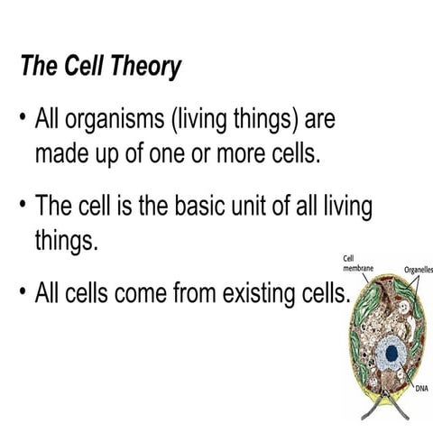 Cell characteristics 2010 | PPT