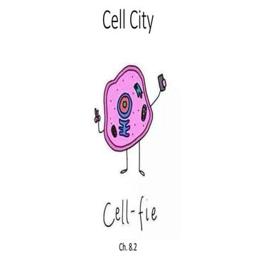 Cell City | PPTX | Biological Sciences | Science
