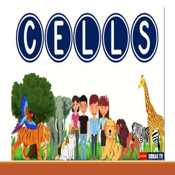 Animal and Plant: Cell Organelles in a City Activity | PPTX