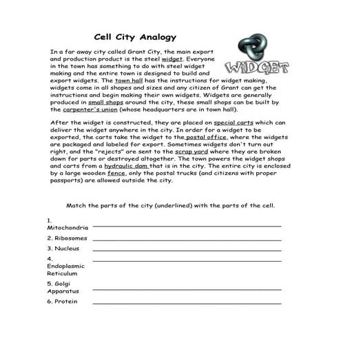 Biology - Cell City Analogy | DOC