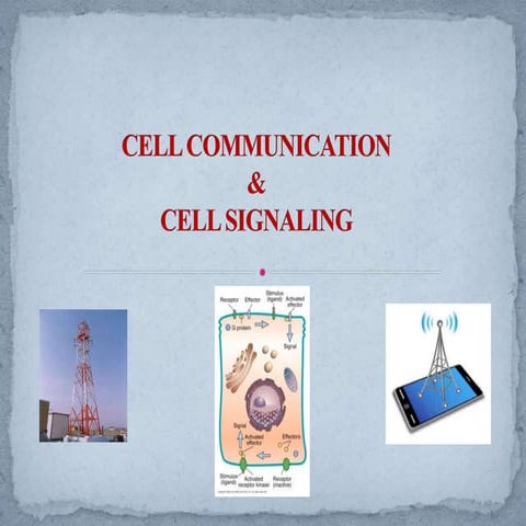 Cell communication and signaling ,cell cycle | PPTX