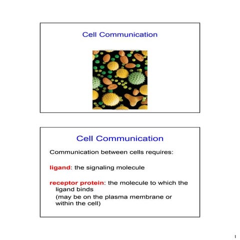 Cell Communication Slides.pdf | Endocrine and Metabolic Diseases ...