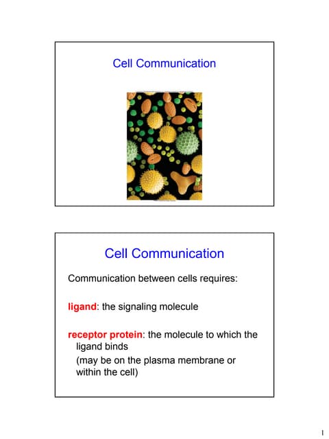 Cell to cell communication | PPT