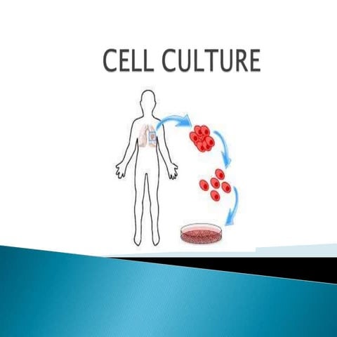 Cell culture | PPT