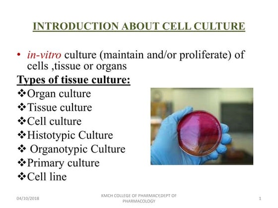 Types of cell culture | PPTX