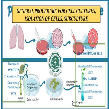 Cell culture and subculture from 1st semester M.pharm | PPTX