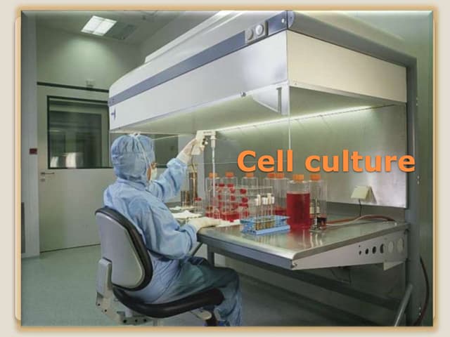 LABORATORY SETUP OF A CELL CULTURE LAB | PPTX