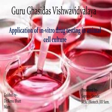 Application of in-vitro drug testing in animal cell culture | PDF