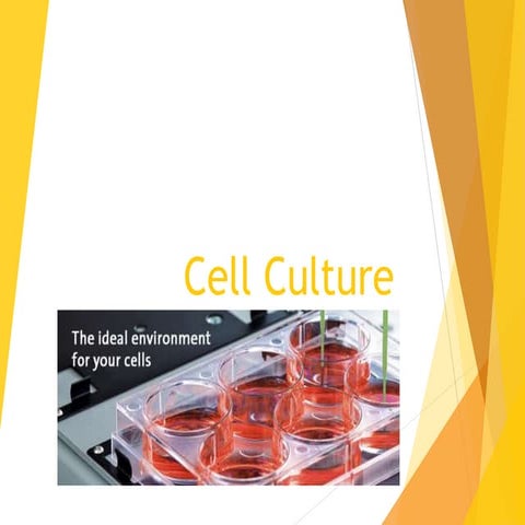 Cell culturing | PPT