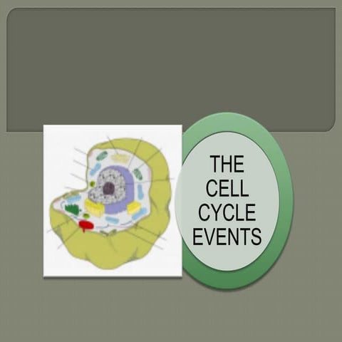 Cell Cycle | PPT