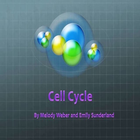 The Cell Cycle | PPTX