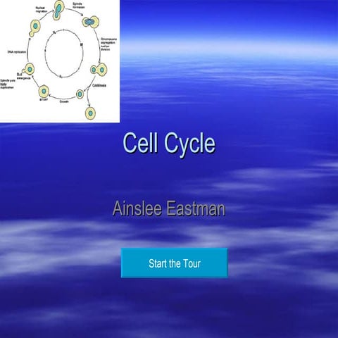 Cell Cycle | PPT | Biological Sciences | Science