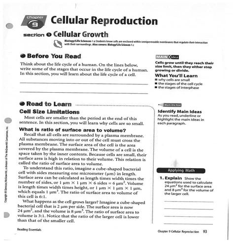 Cell cycle | PDF | Biological Sciences | Science