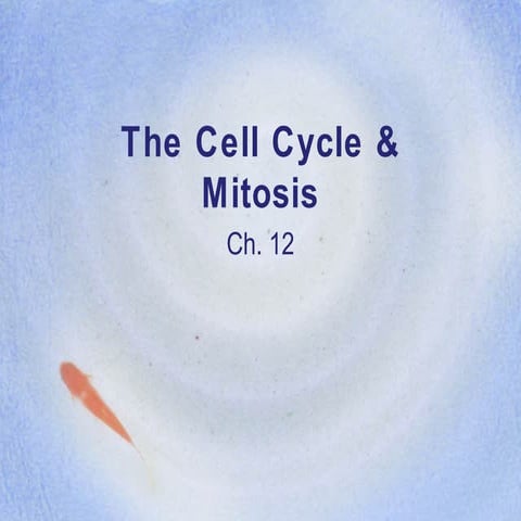 AP Bio Ch. 12, Cell cycle | PPT