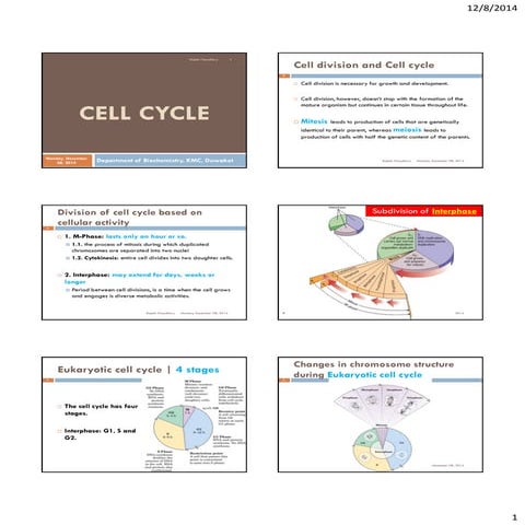 Cell cycle | PDF