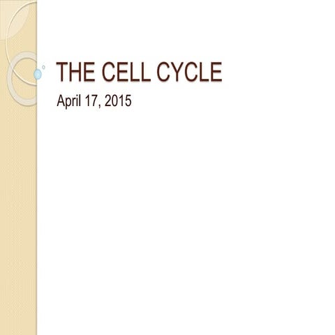 Cell Cycle- The Basics | PPTX