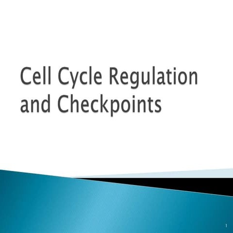Cell cycle regulation and checkpoints | PPTX