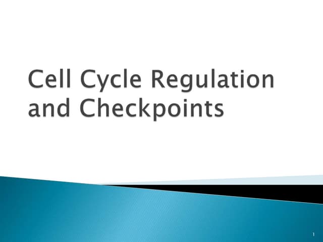 Cell cycle regulation | PPTX