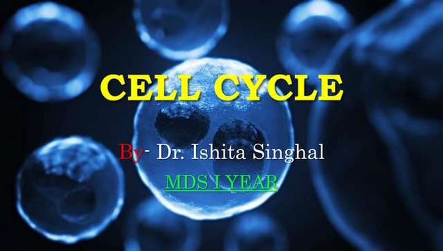 08 The cell cycle | PPT