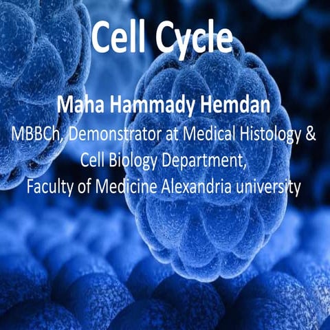 The Cell cycle - maha hammady | PPTX