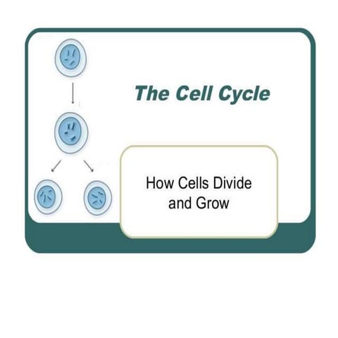 Cell cycle | PPTX | Biological Sciences | Science